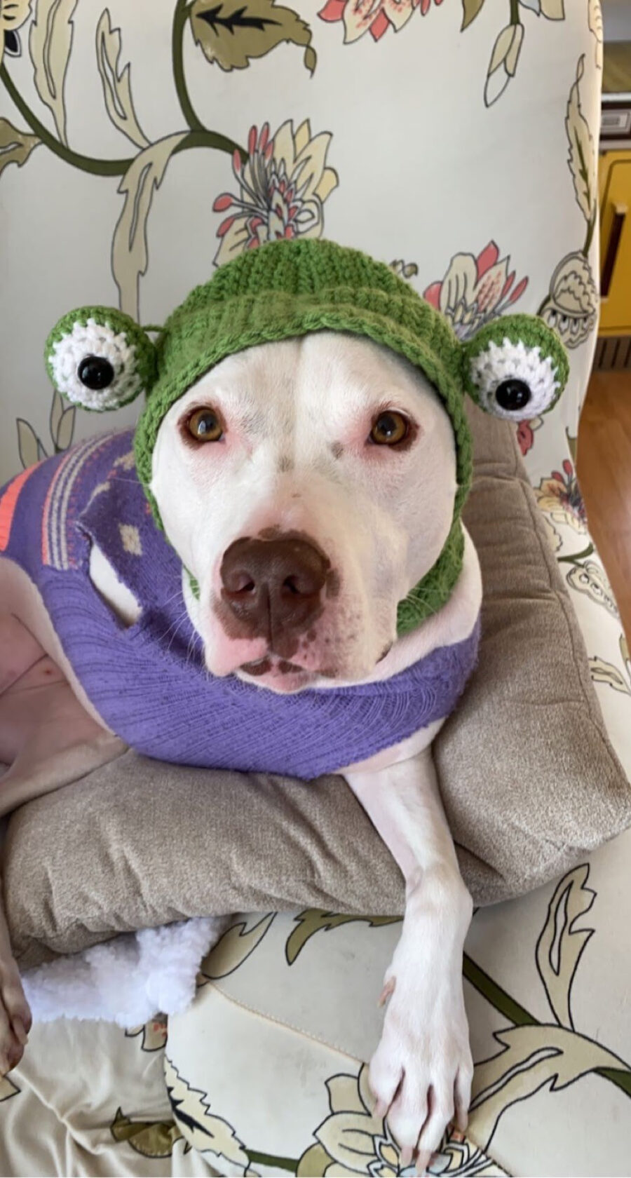 Meet Our Summer Leadership Staff | DuBois Center